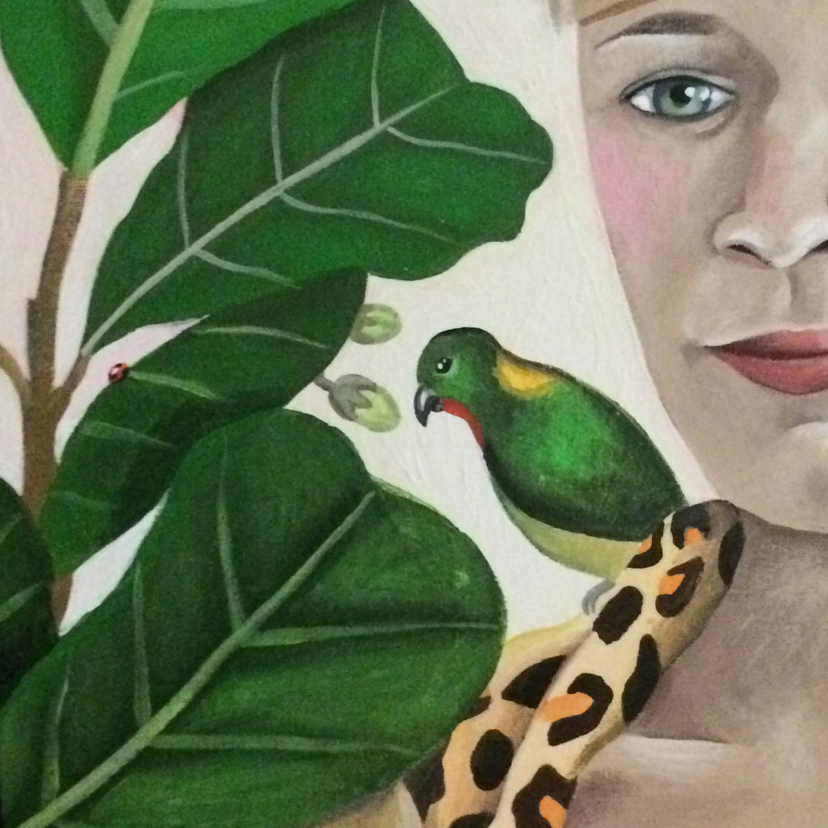 Archies 2017 at Burrinja! – Cat MacInnes Illustration