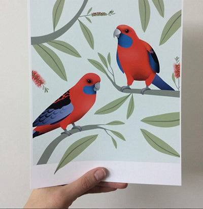 Emerald Library exhibition – Cat MacInnes Illustration